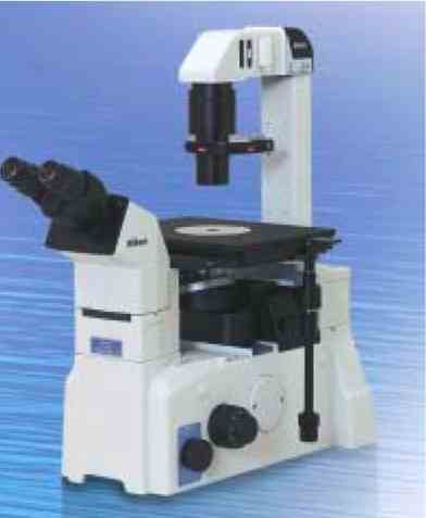 Chemistry 184 - Biological Chemistry